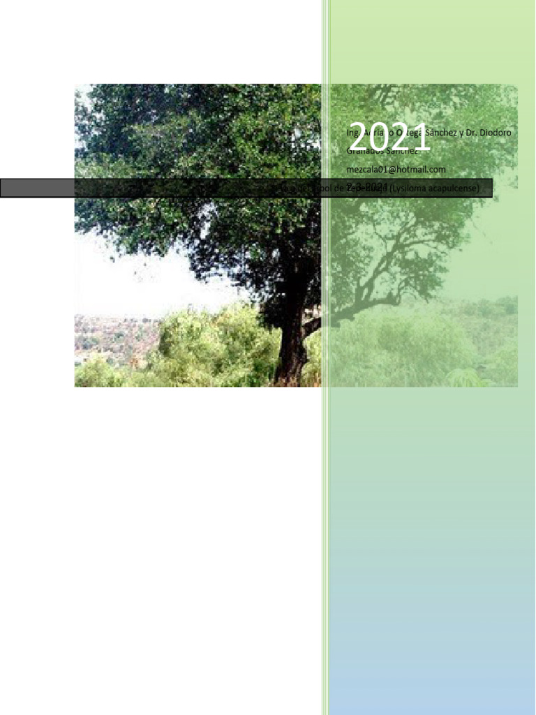 075 Sílvica de Guia 13 de Febrero | PDF | Semilla | Arboles