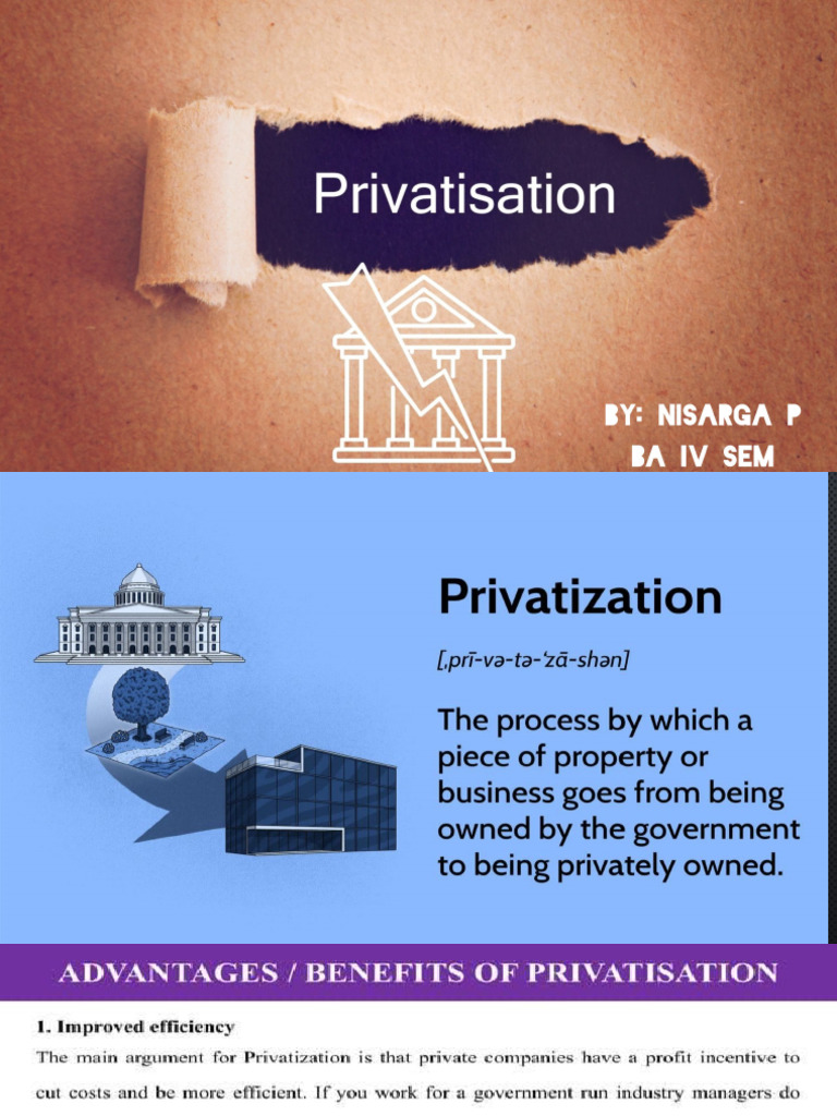 Privatisation | PDF