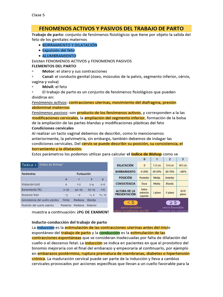 Fenomenos Activos y Pasivos Del Trabajo de Parto | PDF | Parto | Vagina