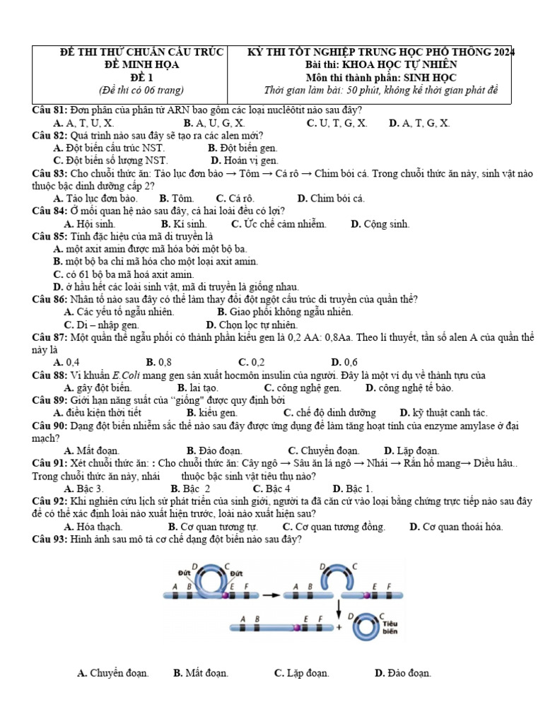 ĐỀ GẤP RÚT ÔN TN số 1 | PDF