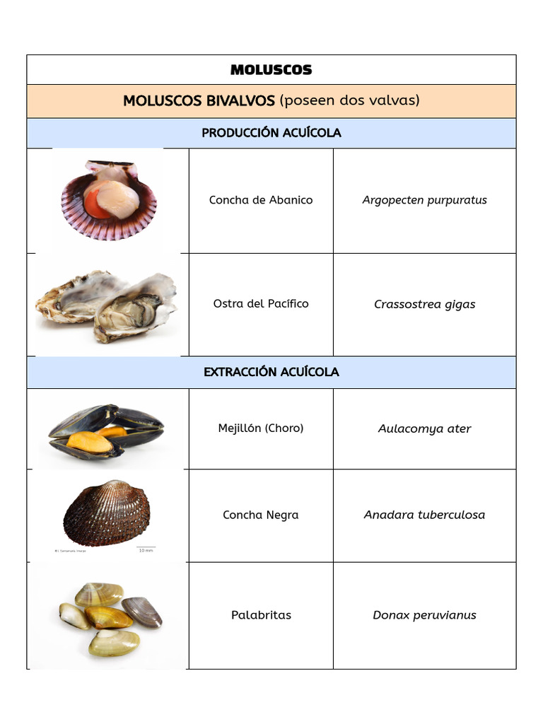 Tipos de Moluscos y Acuicultura | PDF