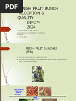 FFB Grading | PDF | Fruit | Palm Oil