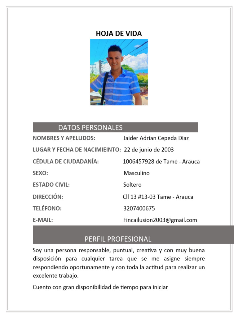 Hoja de Vida de Adrian Cepeda | PDF