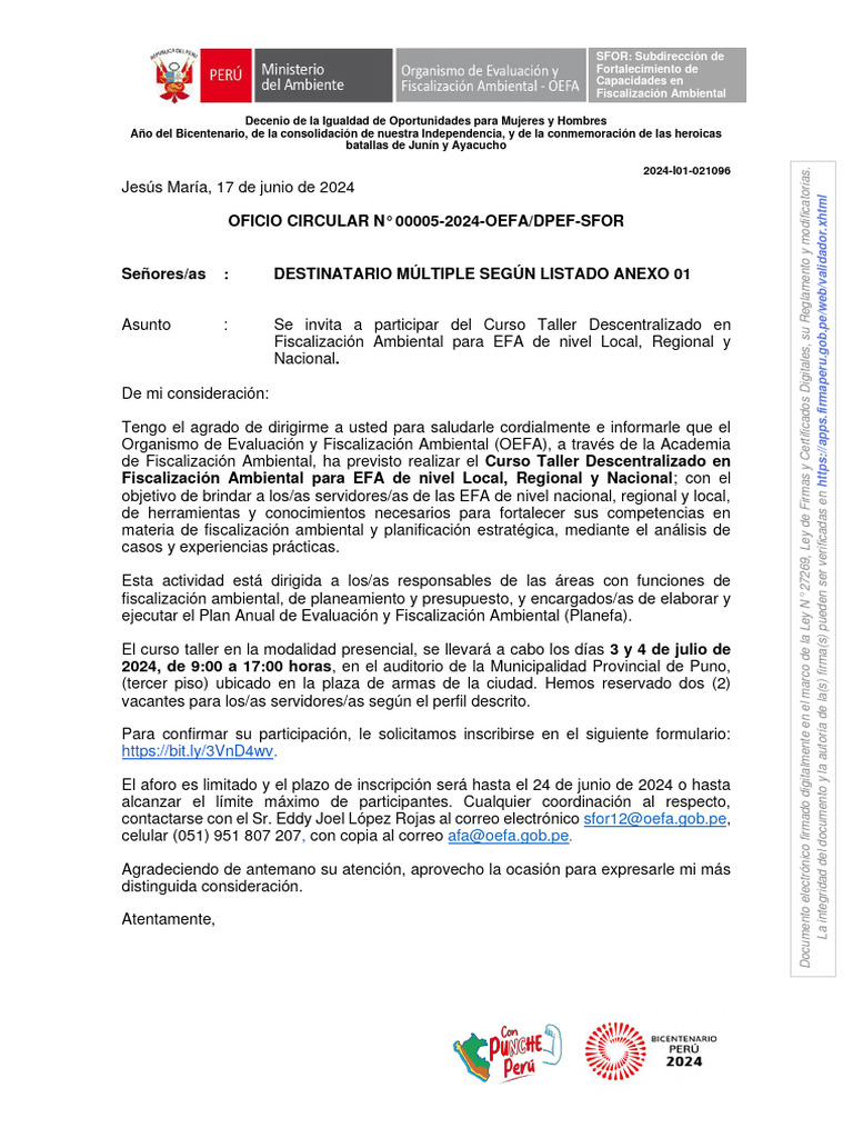 Oficio Circular 00005 2024 Oefa Dpef Sfor | PDF | Planificación | Análisis de sistemas