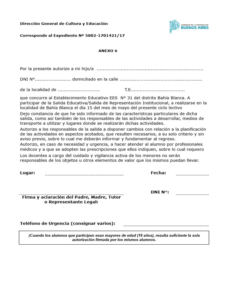 Anexos 4A Ballet Del Sur | PDF