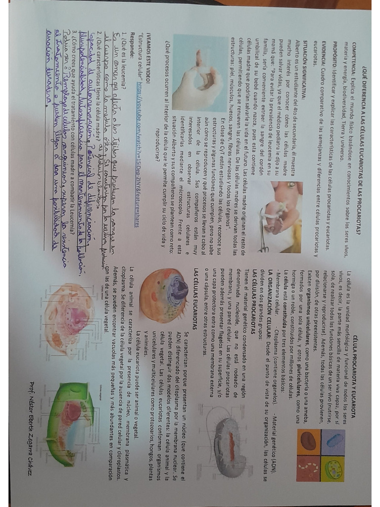 Stiven Castilla Ficha | PDF