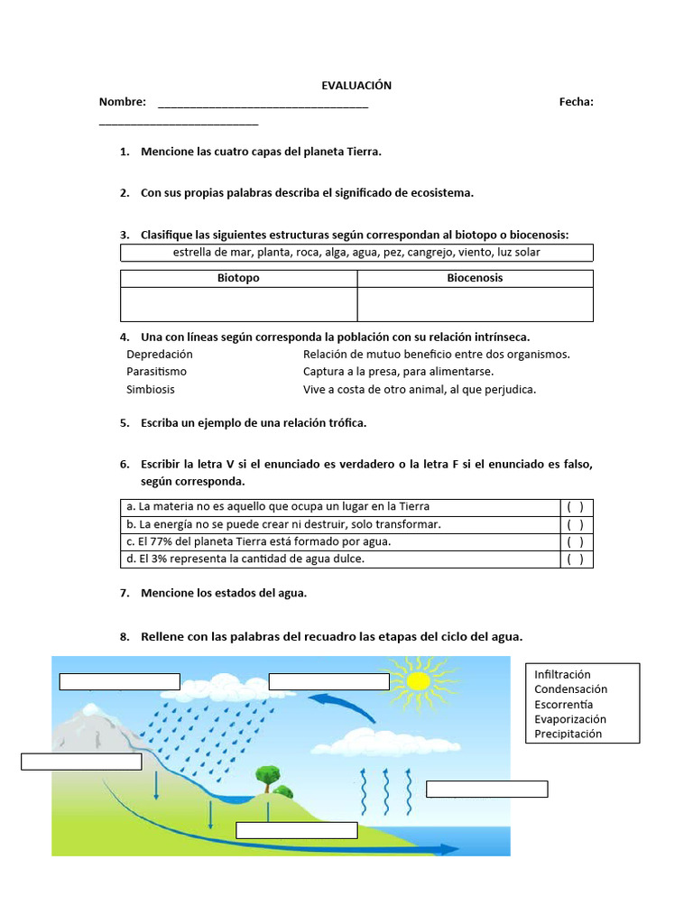 Evaluación Q2 P1 | PDF