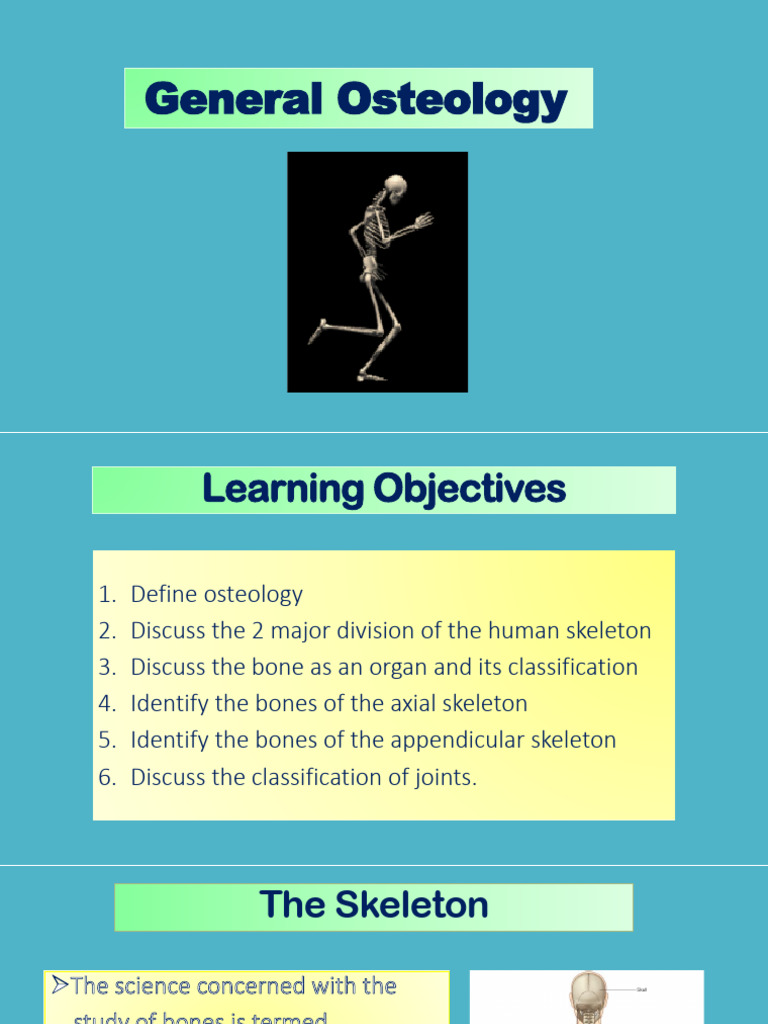 1 - General Osteology Human Skeleton Lecture | PDF | Vertebra ...