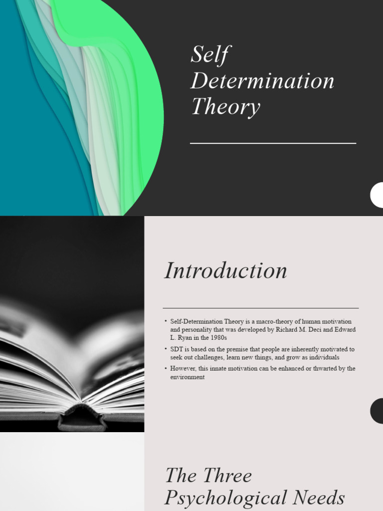 Self Determination Theory | PDF