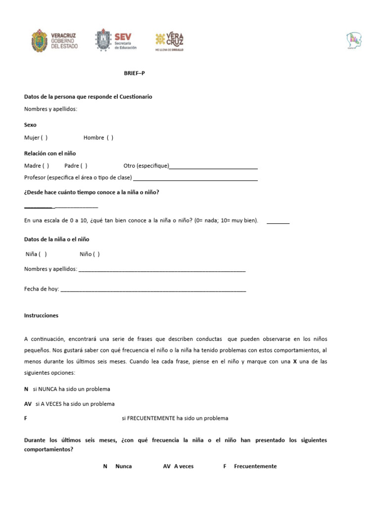 Brief-P - Protocolo | PDF