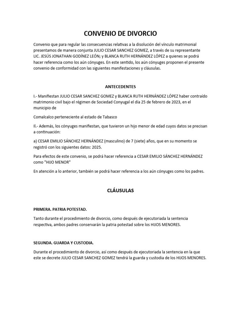 Convenio de Divorcio Julio | Descargar gratis PDF | Divorcio | Instituciones sociales