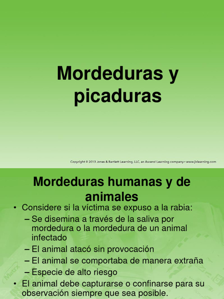13 Mordeduras y Picaduras ECSI | PDF