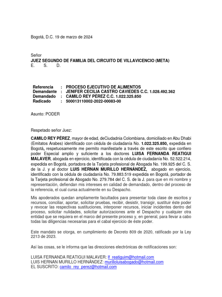 Poder Especial amplio y suficiente | PDF | Documento de identidad ...