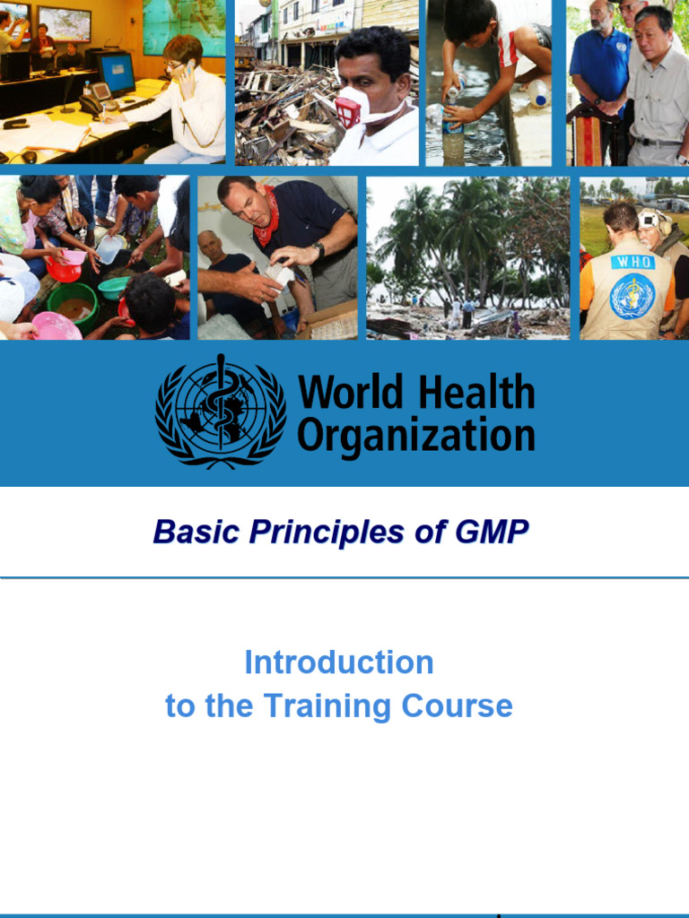 Basic Principles of GMP | PDF