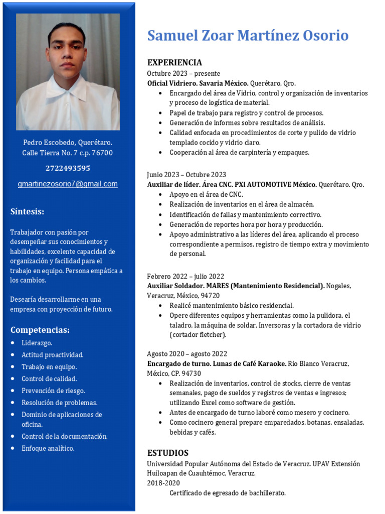 CV Zoar Actualizado - Cleaned | PDF