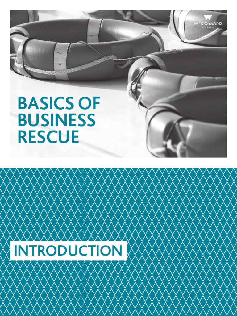 Basics of Business Rescue Guide - Werksmans | PDF | Insolvency ...