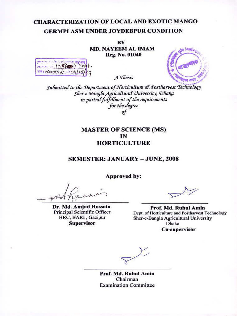 Rough Sample Thesis Pdf