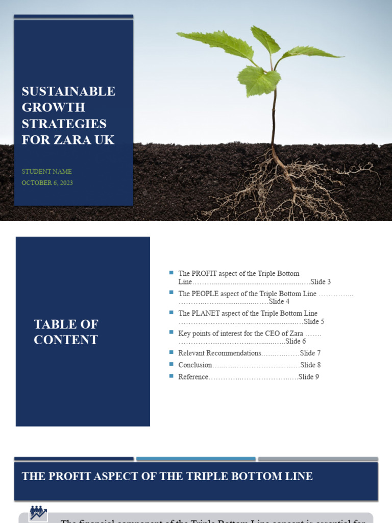 Sustainable Growth Strategies For Zara UK | PDF | Sustainability ...