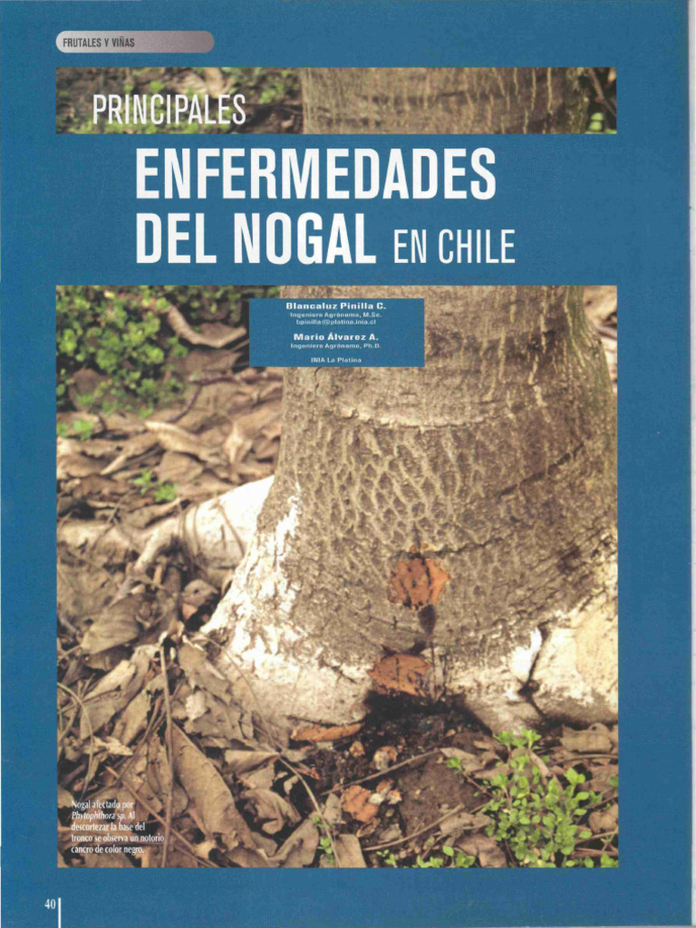 NR 22651 | PDF | Arboles | Botánica