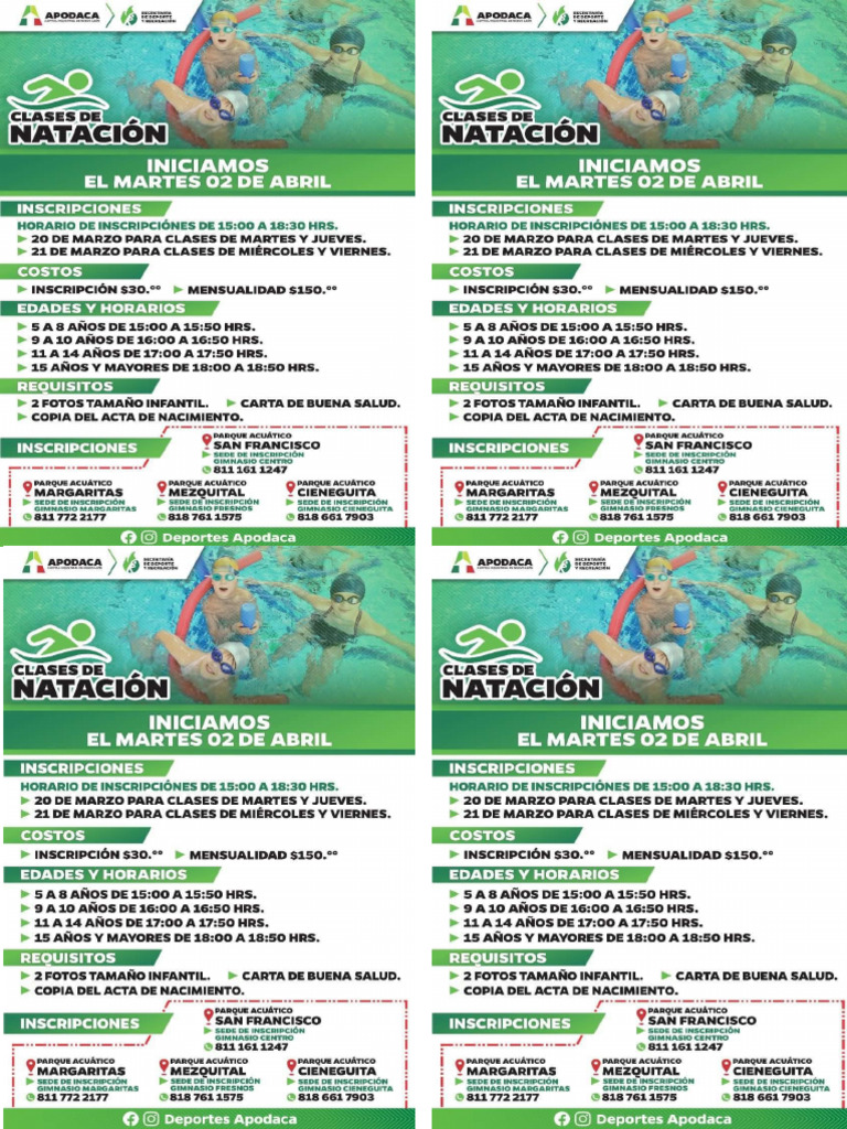 Natacion 2024 (Triptico) | PDF