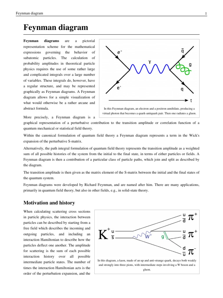 Feynman Diagram | PDF | Quantum Field Theory | Quantum Electrodynamics