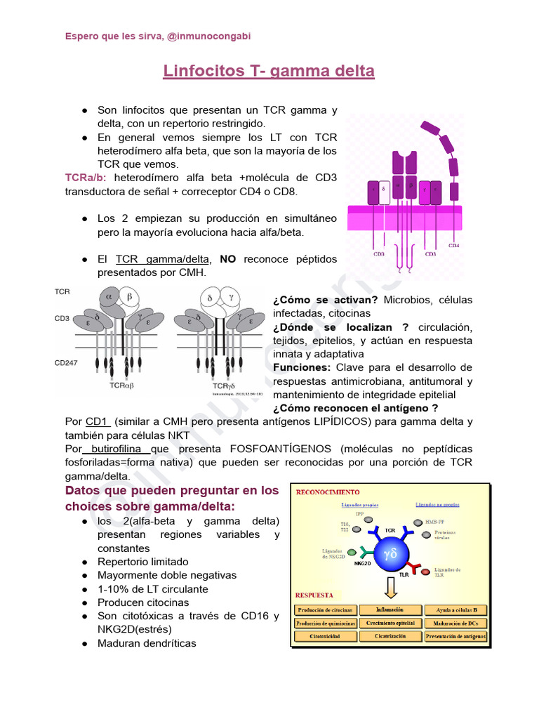 Linfocitos T - Gamma Delta | PDF | Célula T | Citocina