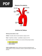 Forames Do Crânio | PDF | Neuroanatomia | Anatomia humana