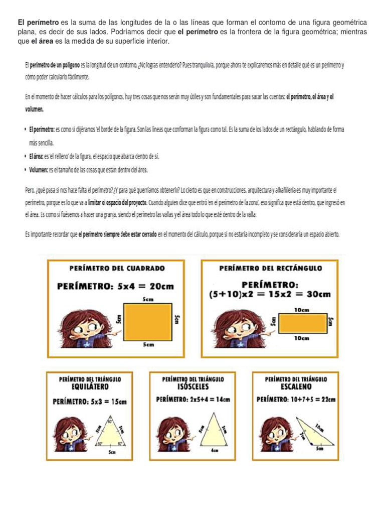 Perímetro y Área: Conceptos Básicos | PDF
