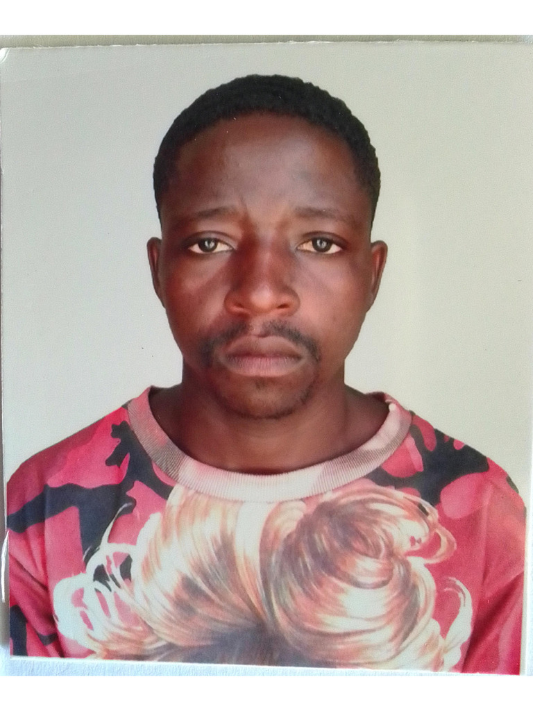 PDF Foto João | PDF