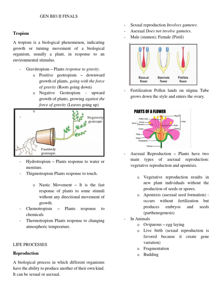 Gen Bio Ii Finals | PDF | Reproduction | Excretion