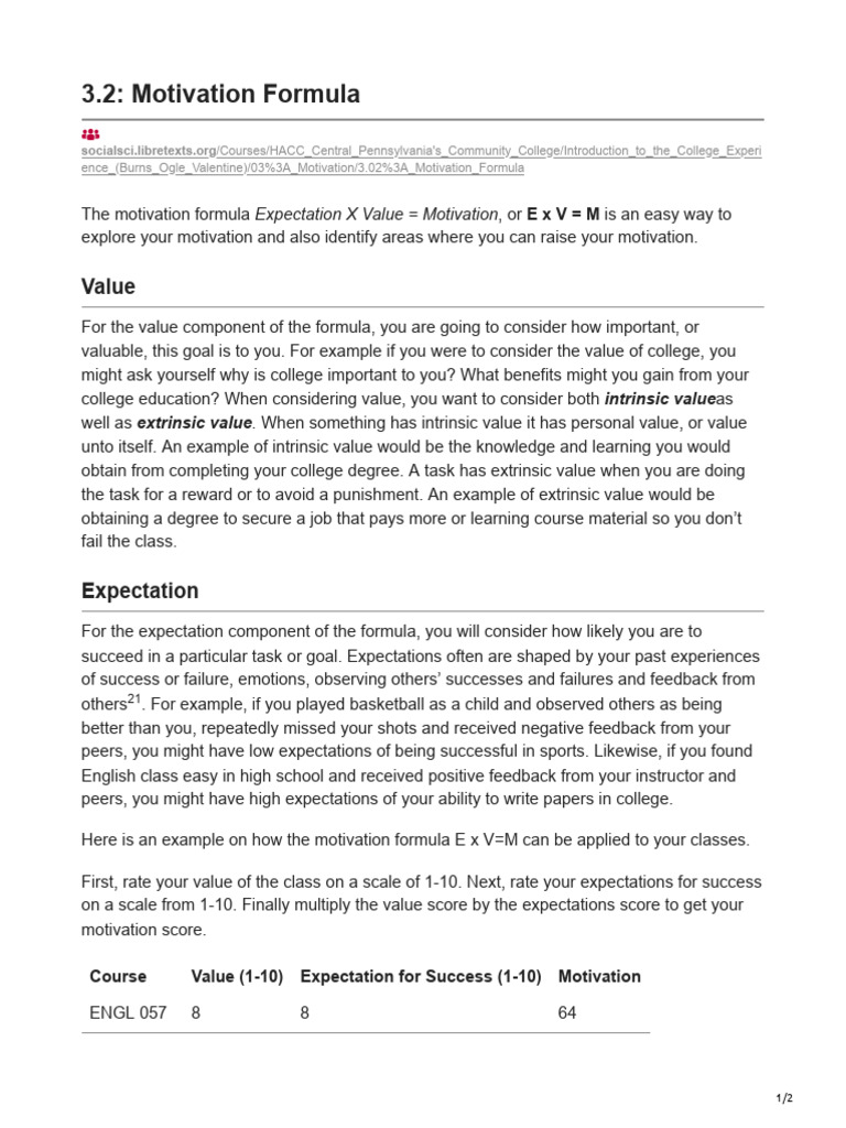 Motivation Formula | PDF | Motivational | Motivation