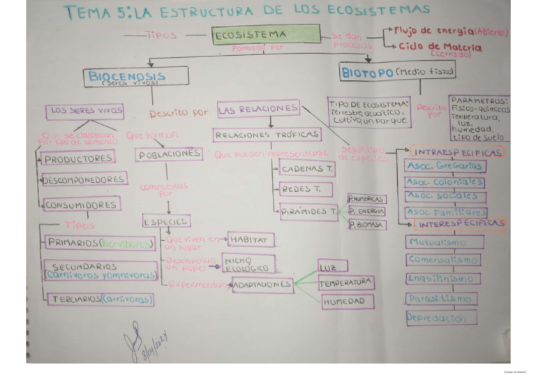 Mapa Conceptual Examen U2 | PDF