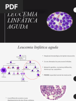 En Qué Consiste El MAPA y AMPA | PDF | Hipertensión | Presión sanguínea