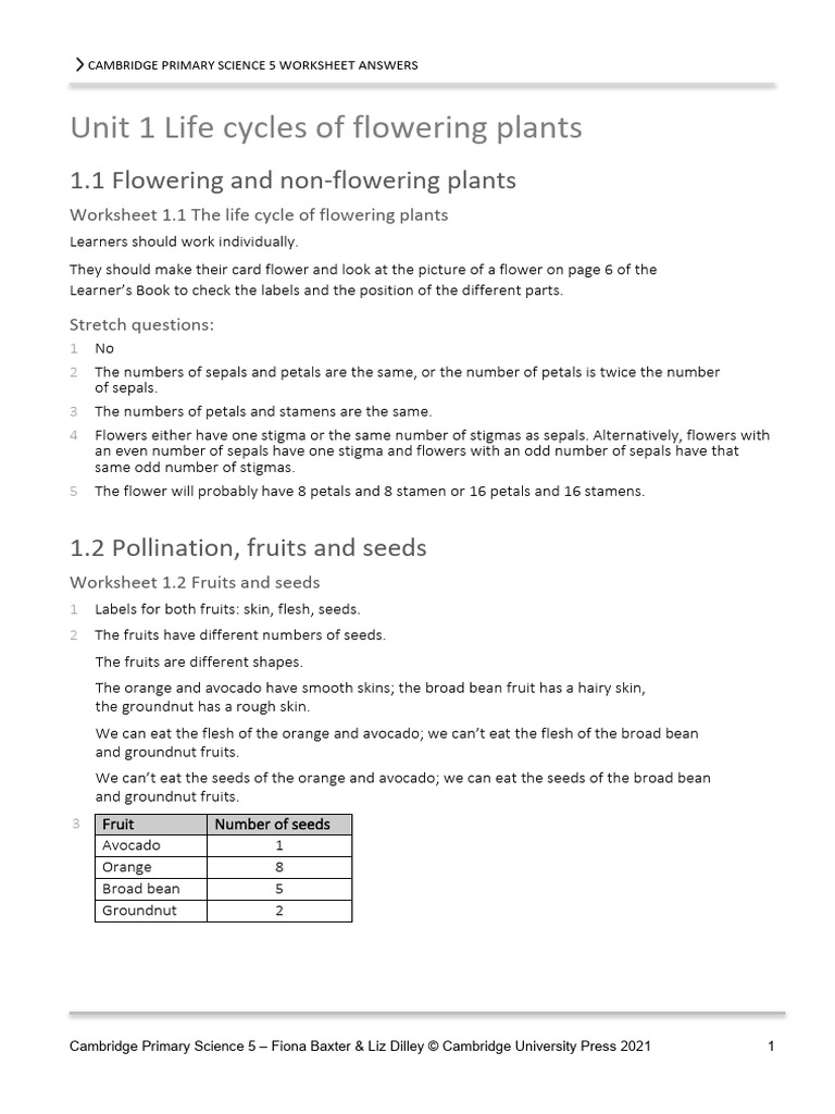 P Science 5 Worksheet Answers | PDF | Bat | Solubility