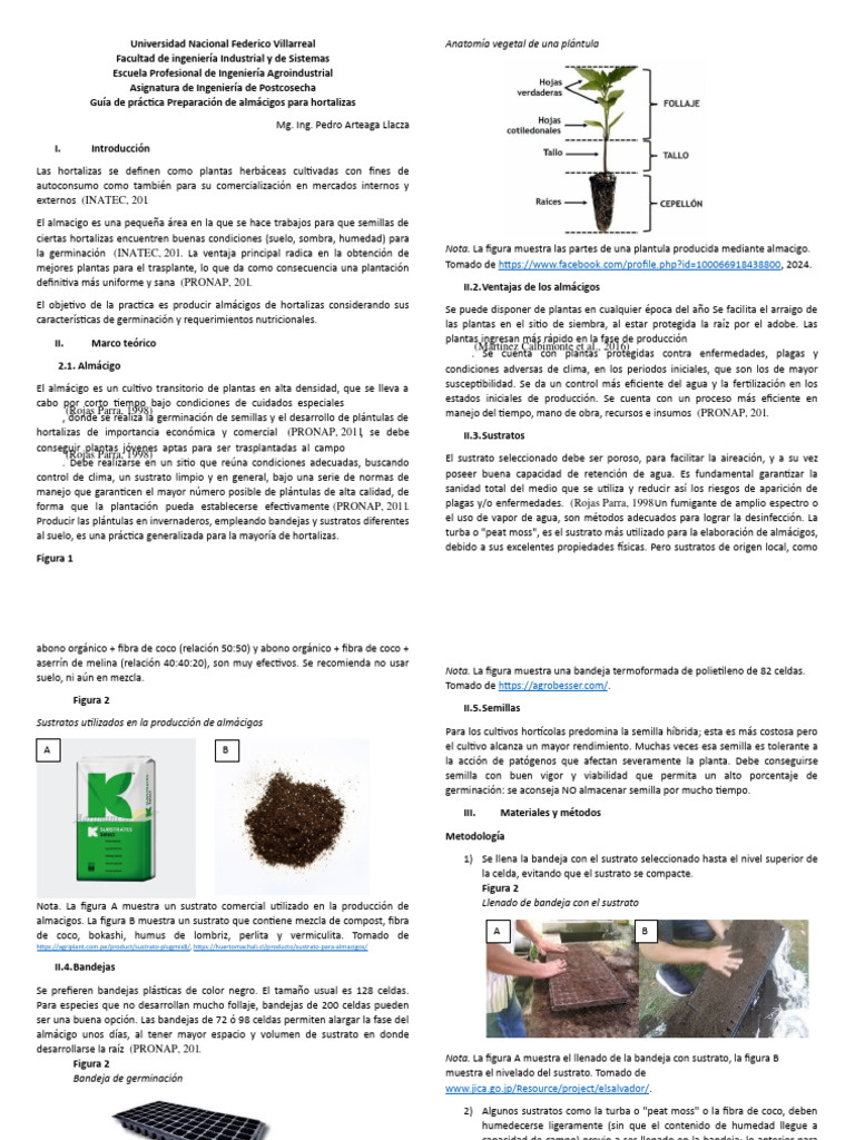 Preparación de Almácigos para Hortalizas | Descargar gratis PDF ...