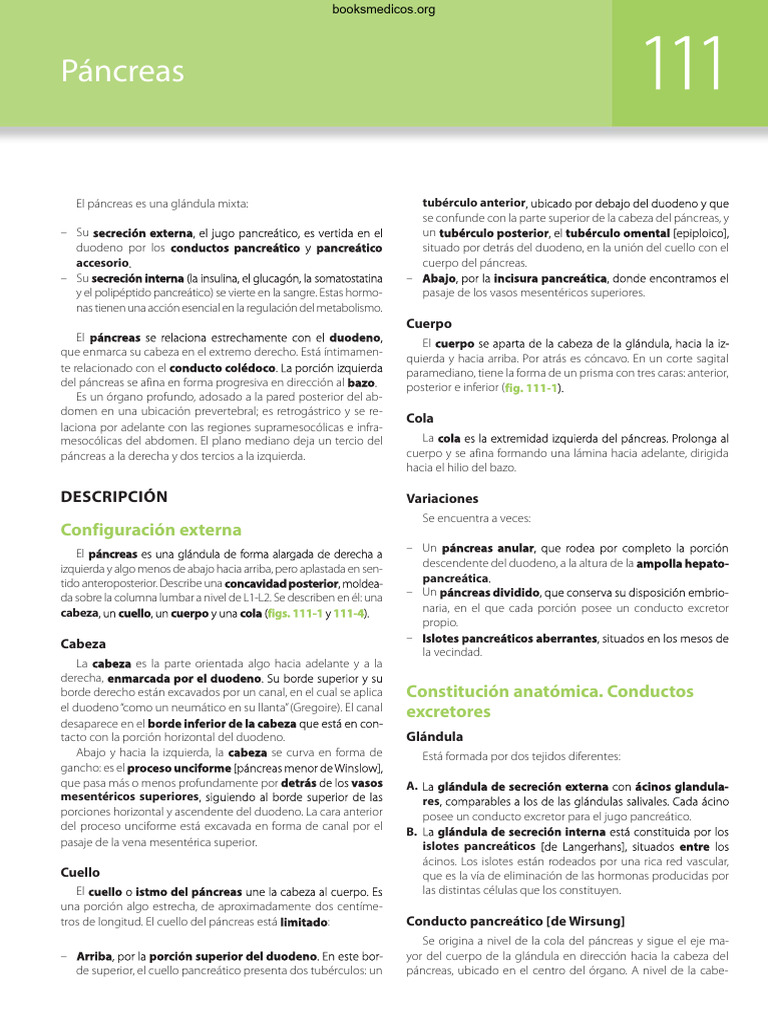 Páginas SEM 12 Latarjet - Anatomia Humana 5a Ed. T2 | PDF | Páncreas ...