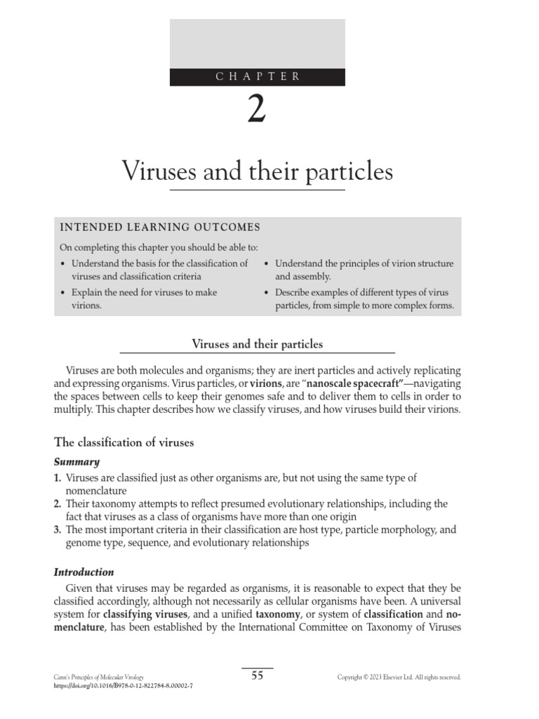 Chapter 2 - Viruses and Their Parti - 2023 - Cann S Principles of Molecular Viro | PDF | Virus ...