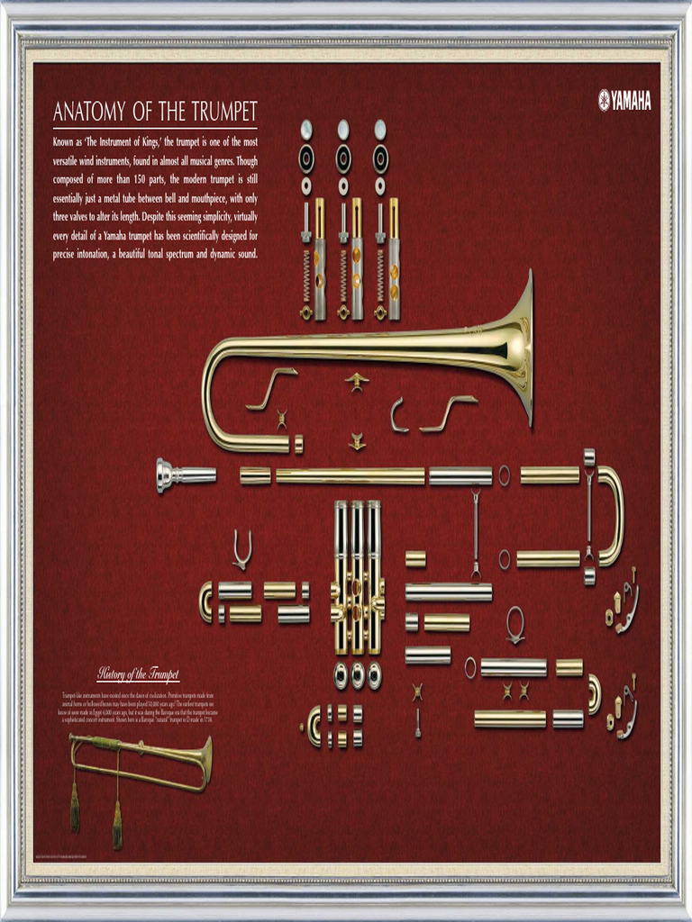 383 Poster Trompette Eclate en | PDF | Social Science | Classics