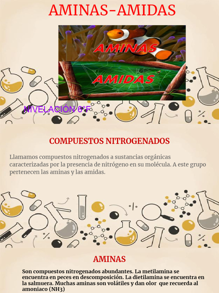 Aminas Amidas | PDF | Amina | Amida