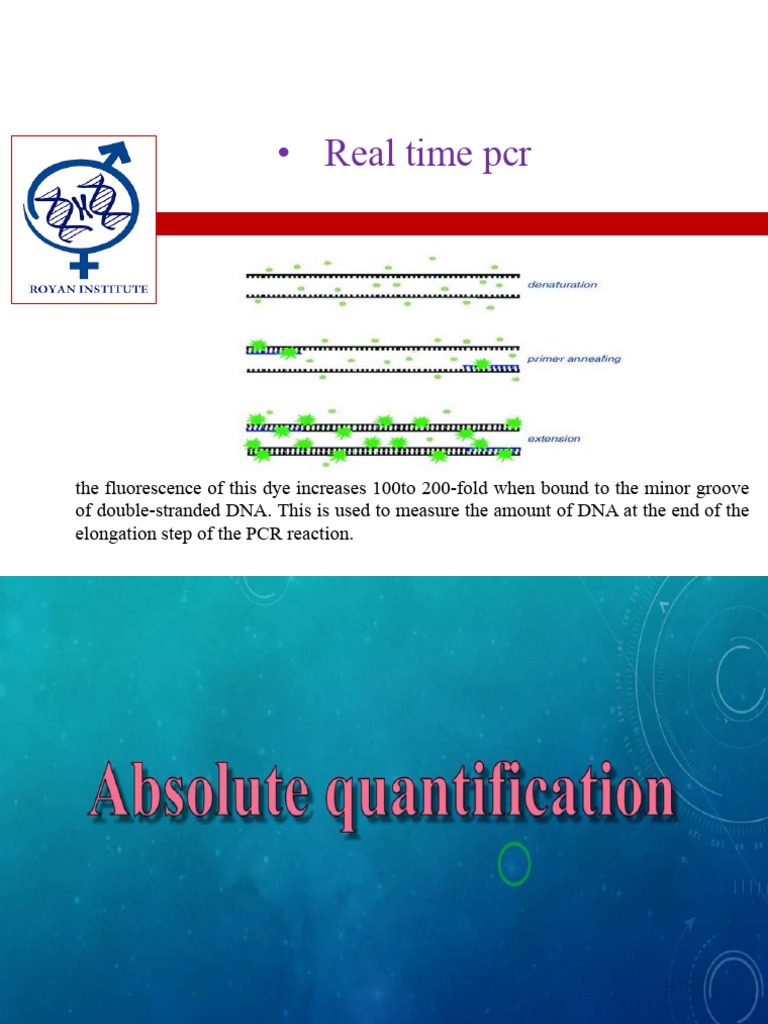 Real Time PCR | PDF