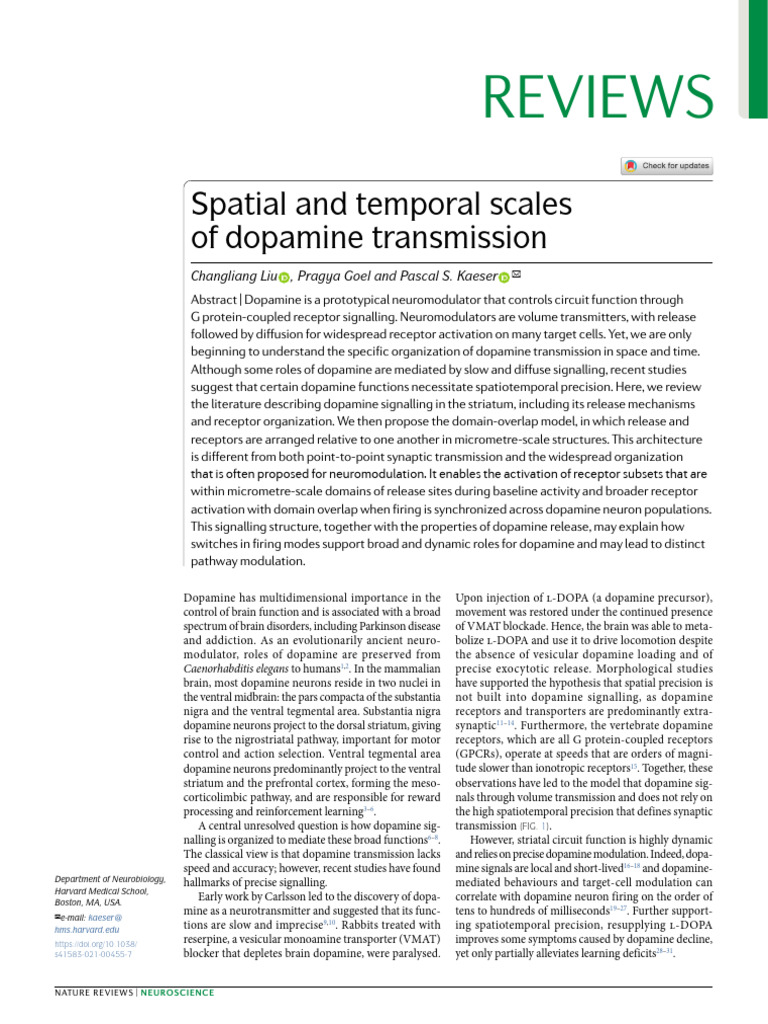 Spatial and Temporal Scales of Dopamine Transmission | PDF | Chemical ...