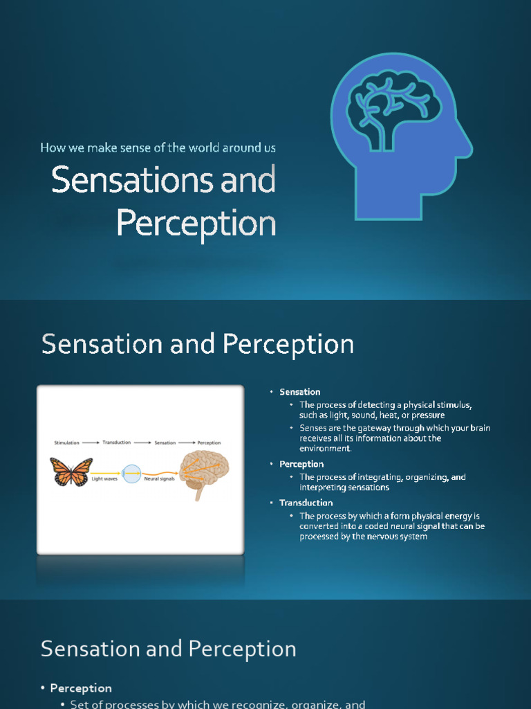 Sensations and Perception | PDF