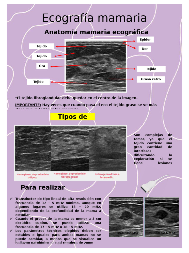 Apunte Ecografia Mamaria | PDF | Pecho | Mamografía