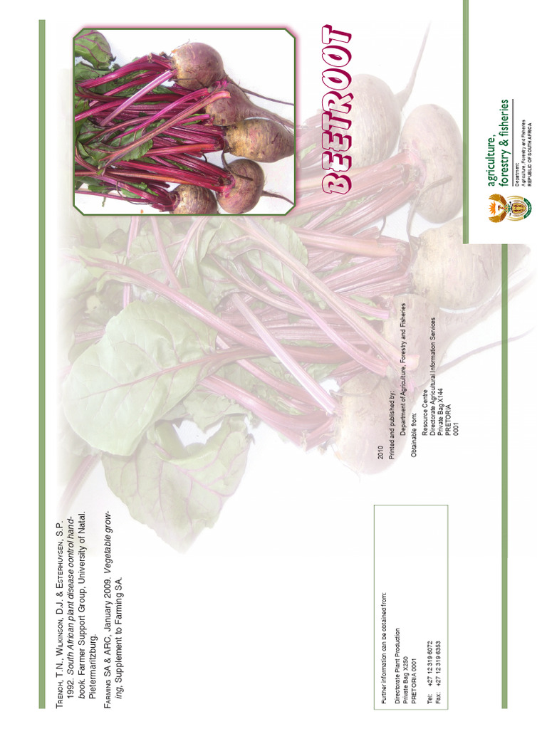 Brochure Beetroot | PDF | Sowing | Agriculture