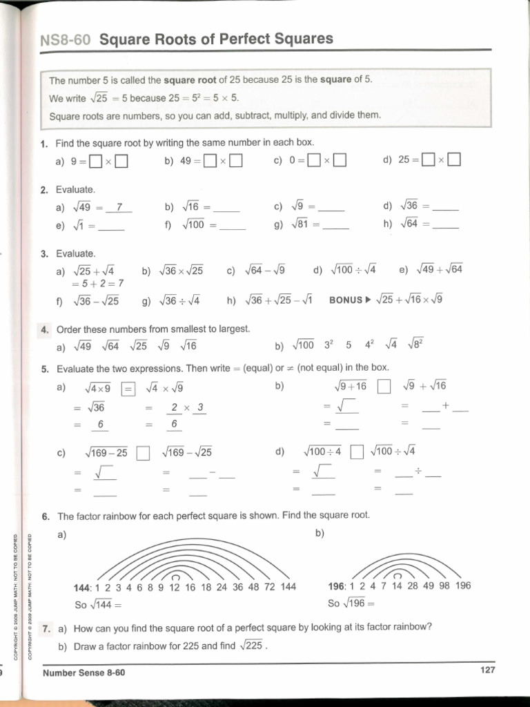 NS8-60 Square Roots of Perfect Squares | PDF