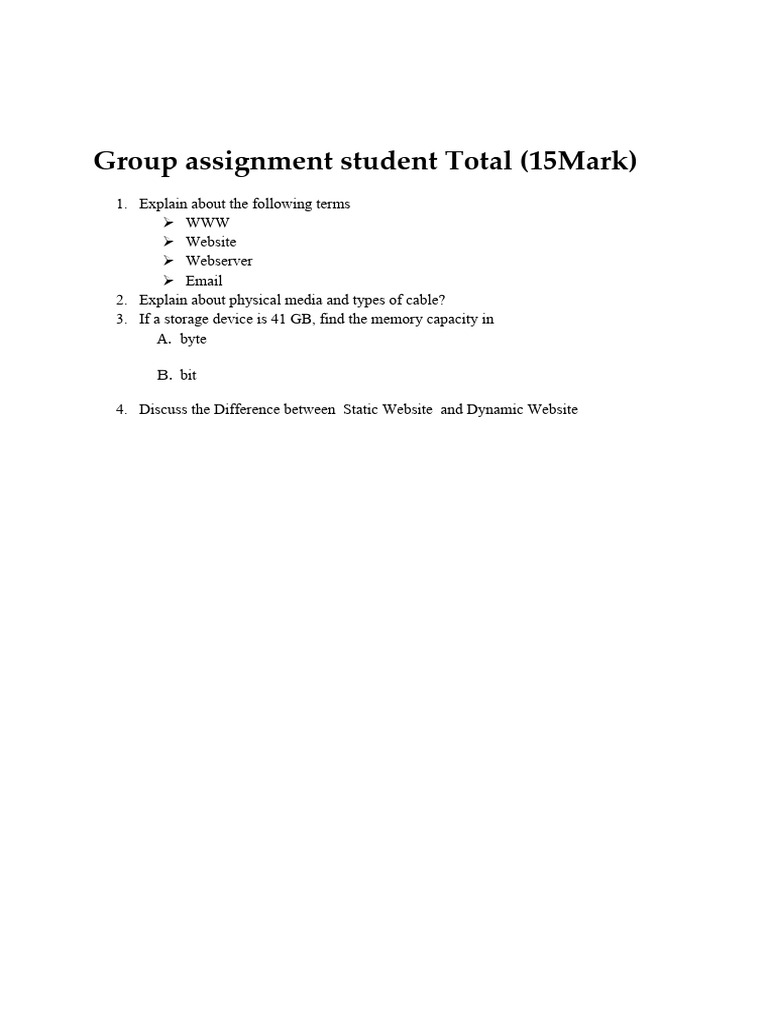 Informai On System Group Assignment | PDF | World Wide Web | Internet & Web