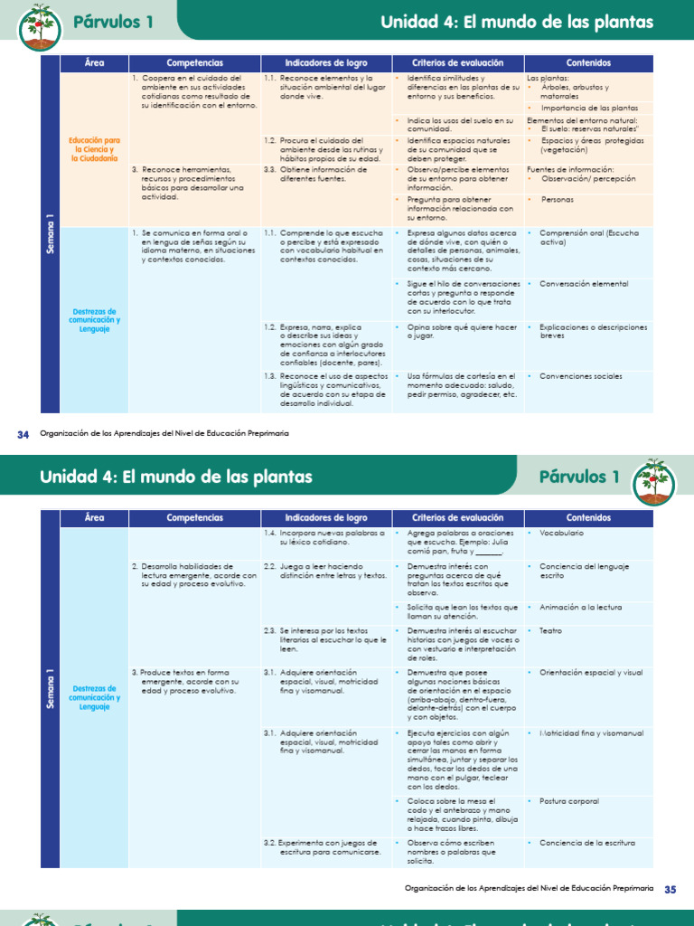 Organización P1 - U4 | PDF | Educación de la primera infancia | Léxico