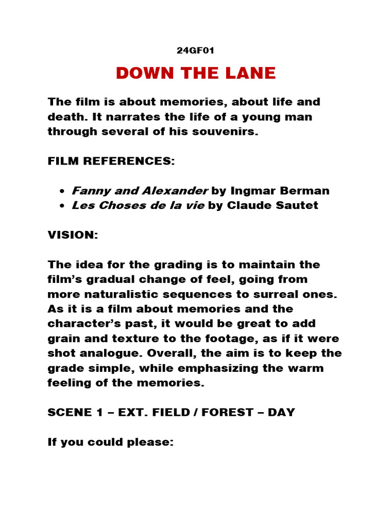 Colour Grading Brief | PDF