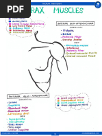 Anatomy of the Trunk Overview | PDF | Abdomen | Thorax
