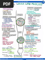 Dr. Tan's Balance Method | PDF | Human Leg | Acupuncture